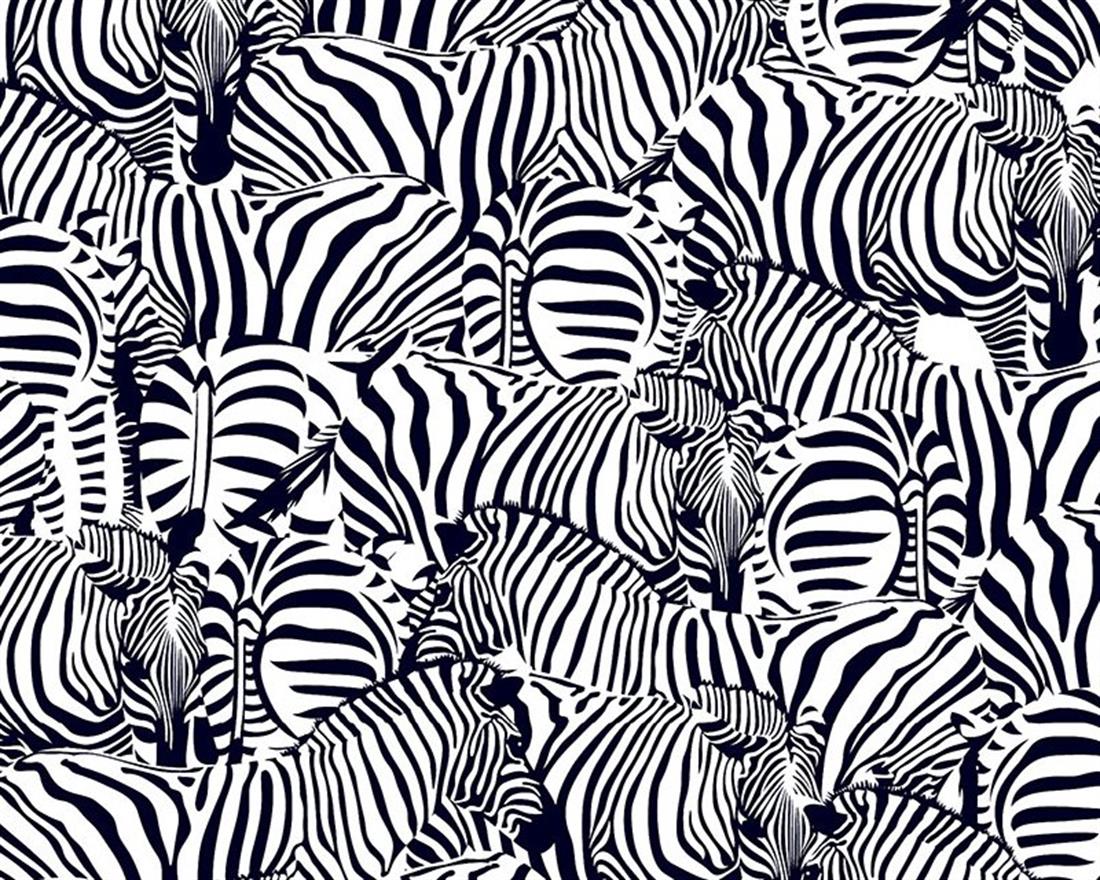 PRINTED COTTON - BS-FAH-CO-1466 - Bombay Stores Fabrics
